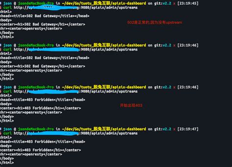 通过apisix访问 Manage Api作为upstream 偶发性的403 · Issue 1159 · Apacheapisix Dashboard · Github