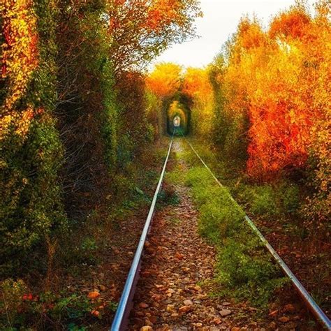 Цікавинки із світу географії