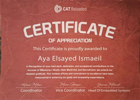 Aya Elsayed On Linkedin Catreloaded Embeddedsystems Hr Teamwork