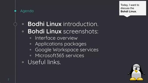 Bodhi Linux Introduction Lets See How It Looks Pdf