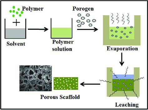 Diagrammatic Representation Of Solvent Casting And Particulate Leaching