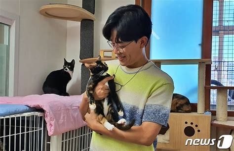 발라당입양센터 찾은 미야옹철 수의사고양이 키울 때 꿀팁은