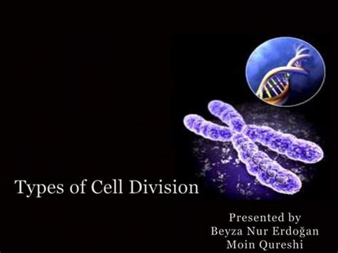 Please Help What Stage Of The Cell Cycle Is This Cell The Nuclear Mempdf