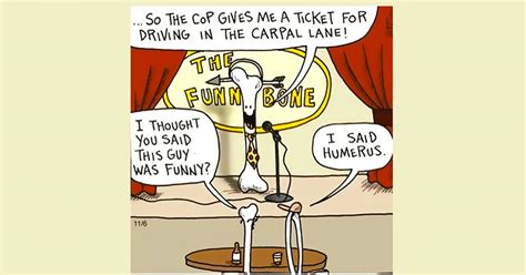 Funny Spine Jokes At Lori Birdwell Blog
