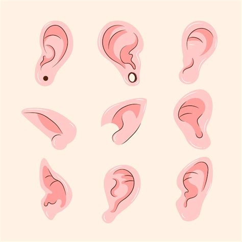 Free Vector Hand Drawn Ear Cartoon Collection Illustration