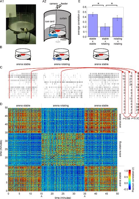 Figure 1 From Key Features Of Human Episodic Recollection In The Cross Episode Retrieval Of Rat