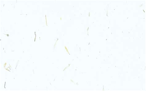 작은 나뭇잎이 섞여 있는 푸른색 한지 이미지 유토이미지 상세페이지 베이직샵 사진 20975780