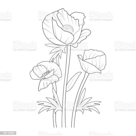 아이들을 위한 양귀비 꽃 색칠하기 책 손으로 그린 식물 꽃 자연 잉크 조각 빈티지 양귀비 꽃 그리기 양귀비 식물 삽화 양귀비 꽃