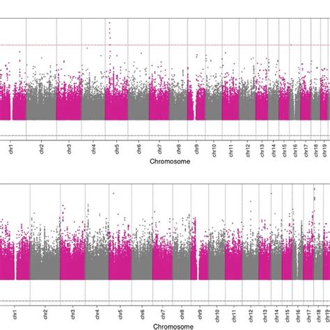 A Manhattan Plot Of Gwas For Age At Recruitment In Myocardial Download Scientific Diagram