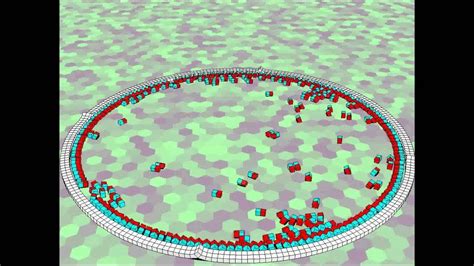 Collective Motion Simulation Using Voxcad Youtube