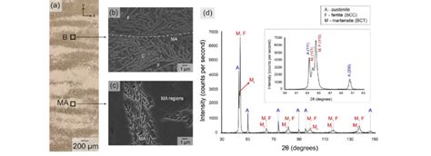 A Wide Area Optical Micrograph Of Specimen Z Case B Micrograph Download Scientific