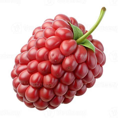 3d Render Red Raspberry Fruit Illustration 53922324 Png