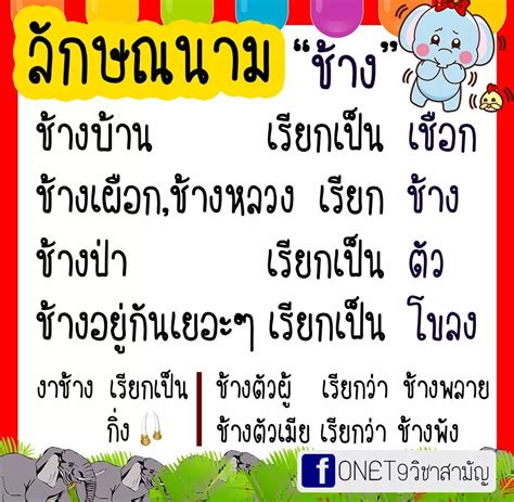 ภาษาไทย ครูโจ้ ลักษณนามช้าง ช้างป่า เราเรียกว่า Facebook