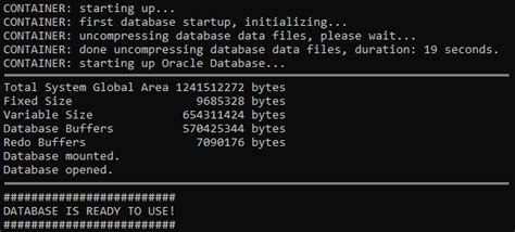 Docker Volume Permissions