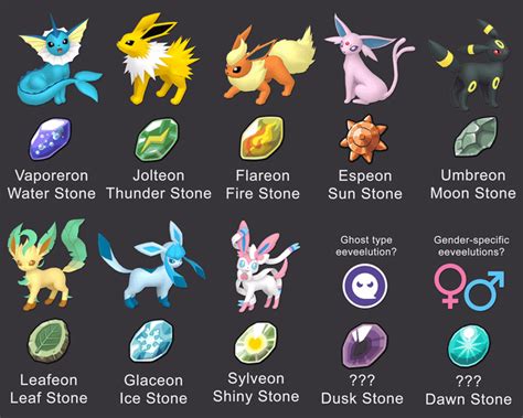 Pokemon Evolution Chart Eevee