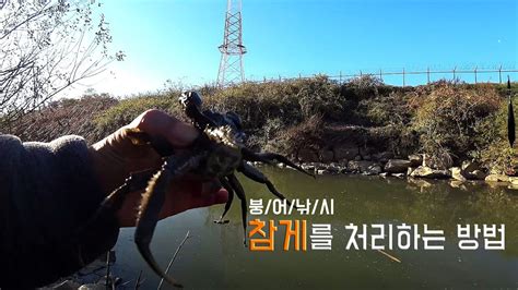 수로 가을붕어 가을참게 내림 소물낚시 Youtube