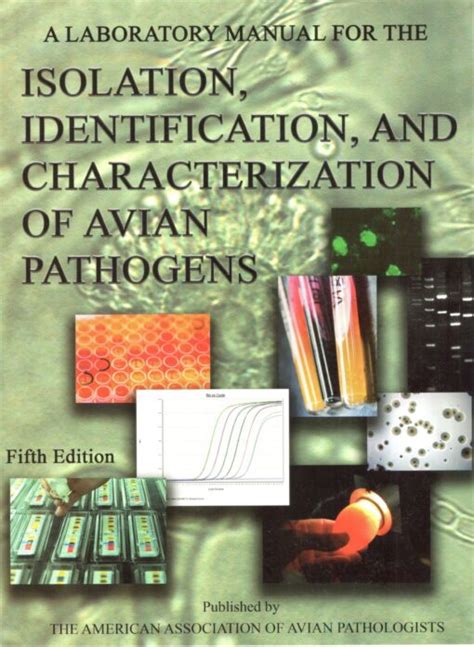 A Laboratory Manual For The Isolation Identification And Characterization Of Avian Pathogens 5th