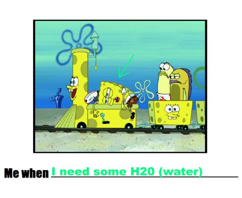 Spongebob Needs Water