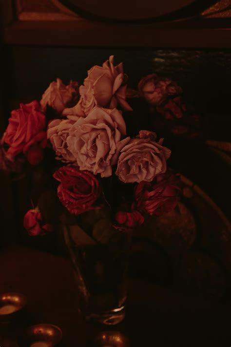 Dark Romance Aesthetic Photos Download The Best Free Dark Romance