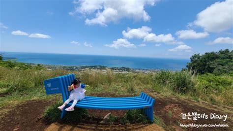 아이랑 제주여행16 자동차로 바로 편하게 올라갈 수 있고 산방산 뷰가 환상적인 군산오름 추천 네이버 블로그
