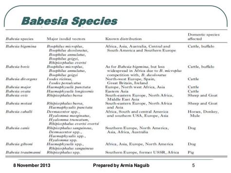 Babesia
