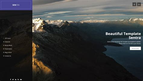 Скачать бесплатно готовый Html Css шаблон сайта компании Sentra
