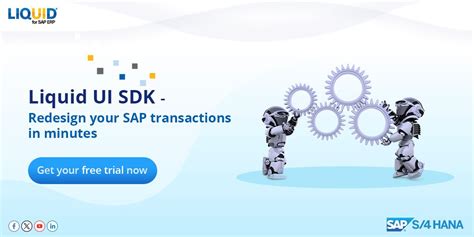 Synactive Inc On Linkedin Sapcustomization Saperp Sap Liquidui