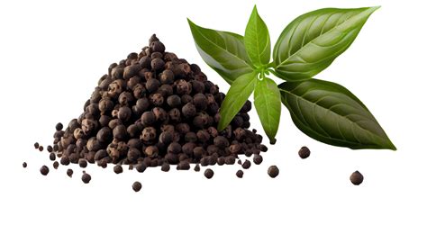 Black Pepper Transparent Png Png