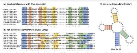 Figure 1 From Recent Trends In Rna Informatics A Review Of Machine Learning And Deep Learning