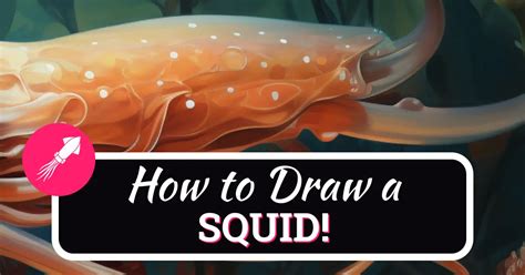 How To Draw A Squid Step By Step 9 Easy Steps