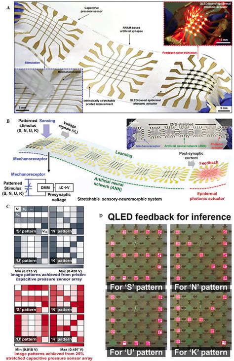 Bioreceptor Inspired Soft Sensor Arrays Recent Progress Towards Bioreceptor Inspired Soft Sensor Arrays Recent Progress Towards