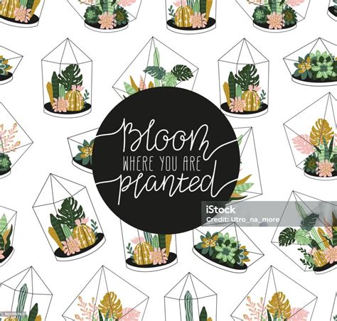 손으로 작성 글자블 룸 어디 심어 져 있습니다 세련 된 일러스트 이국적인 식물을 가진 현대적이 고 우아한 가정 장식 벡터 인쇄 디자인입니다 가정 생활에 대한 스톡 벡터 아트