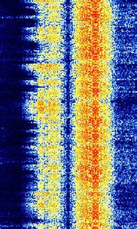 Radio Data System RDS Signal Identification Wiki