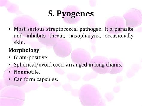 Streptococcus Ppsx Ear Nose And Throat Conditions Diseases And
