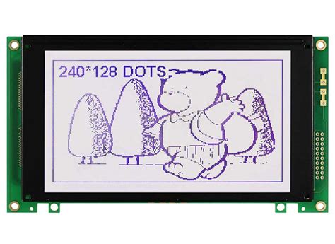 Graphic LCD Module