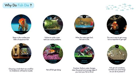 Gui Design Case Study Behance Gui Design Case Study Behance