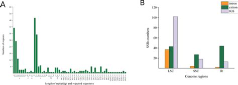 a types and numbers of simple sequence repeats ssrs and b simple