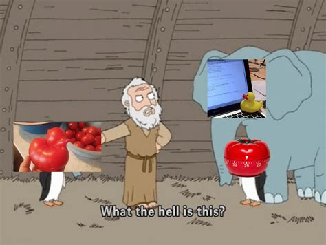 Rubber Duck Debugging Pomodoro Technique Rprogrammerhumor