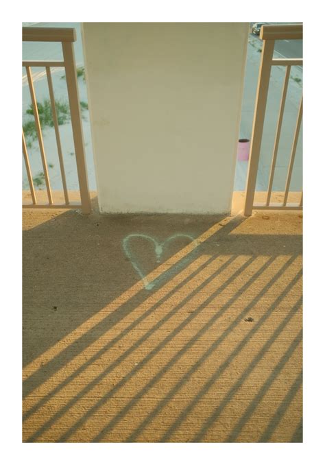 Got A Black Mist Diffuser Filter R Fujifilm