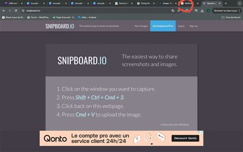 Color Favicon Issue WordPress Org