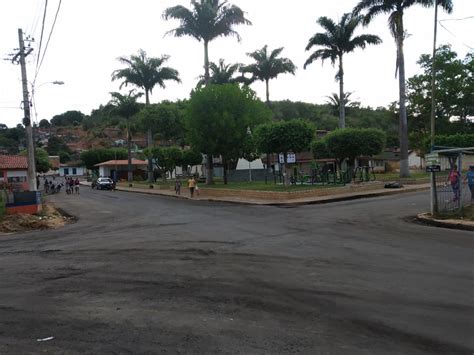 Tudo O Que Você Precisa Saber Sobre Machacalis Minas Gerais