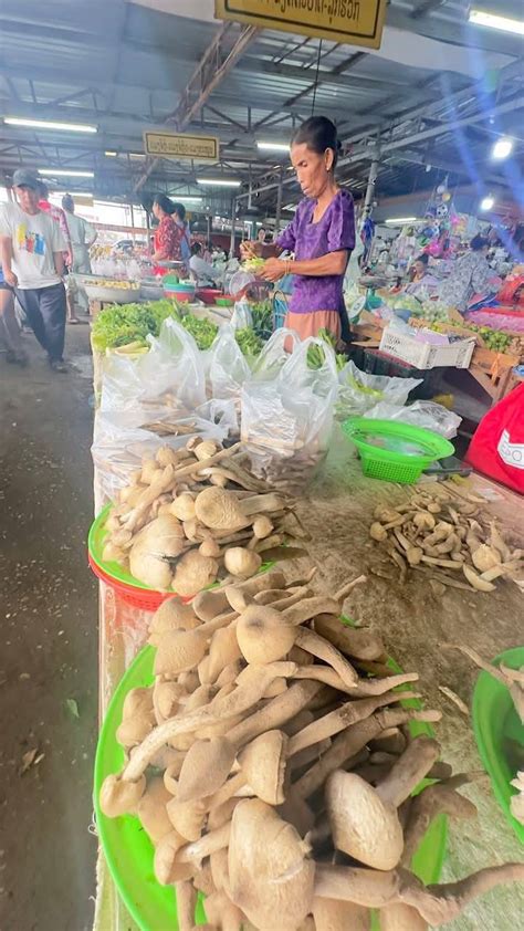 ຈົດໝາຍຂ່າວ Message Added A New Photo ຈົດໝາຍຂ່າວ Message