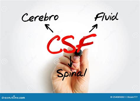 Csf Cerebrospinal Fluid Clear Fluid That Surrounds The Brain And Spinal Cord Acronym Text