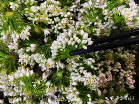 腌韭菜花时别只会放盐教你3种腌制方法一看就会久放不坏 知乎