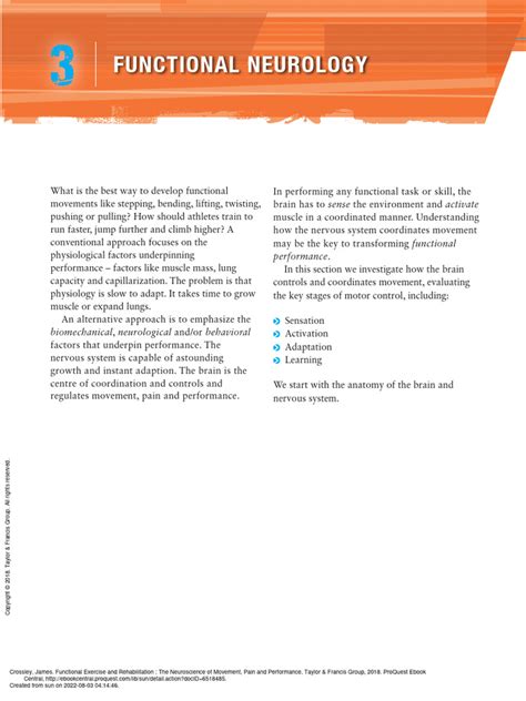 Functional Exercise And Rehabilitation The Neurosc 3 Functional Neurology Pdf Neuron