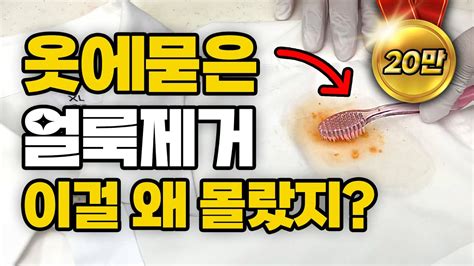 옷 얼룩 지우는 방법이 식초 하나로 끝 옷 얼룩제거 김칫국물 주스 모두 문제 없는 세탁 빨래 Youtube