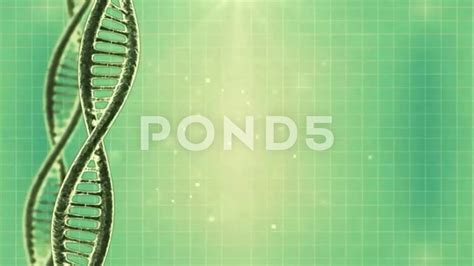 Шаблон биология