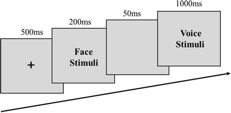 Example Of Cross Modal Priming Paradigm Taking Priming Faces As An Download Scientific Diagram