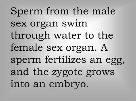 Ppt 2 Pteridophyta Powerpoint Presentation Free Download Id 6219850