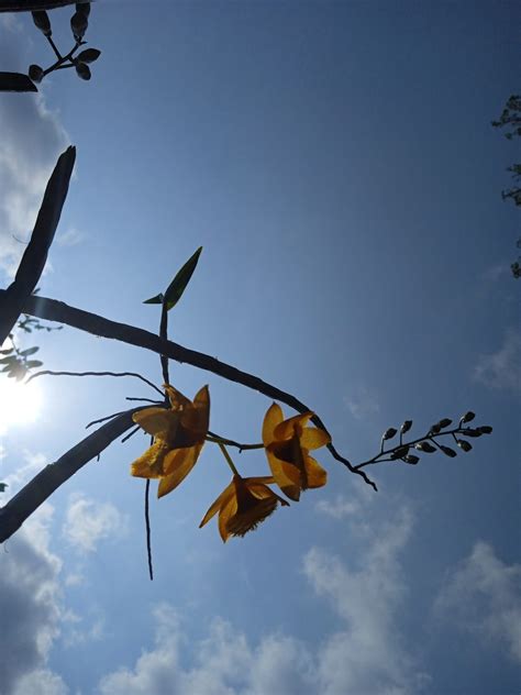 ပြည်တွင်းအလုပ်အကိုင်ရှာဖွေရေး